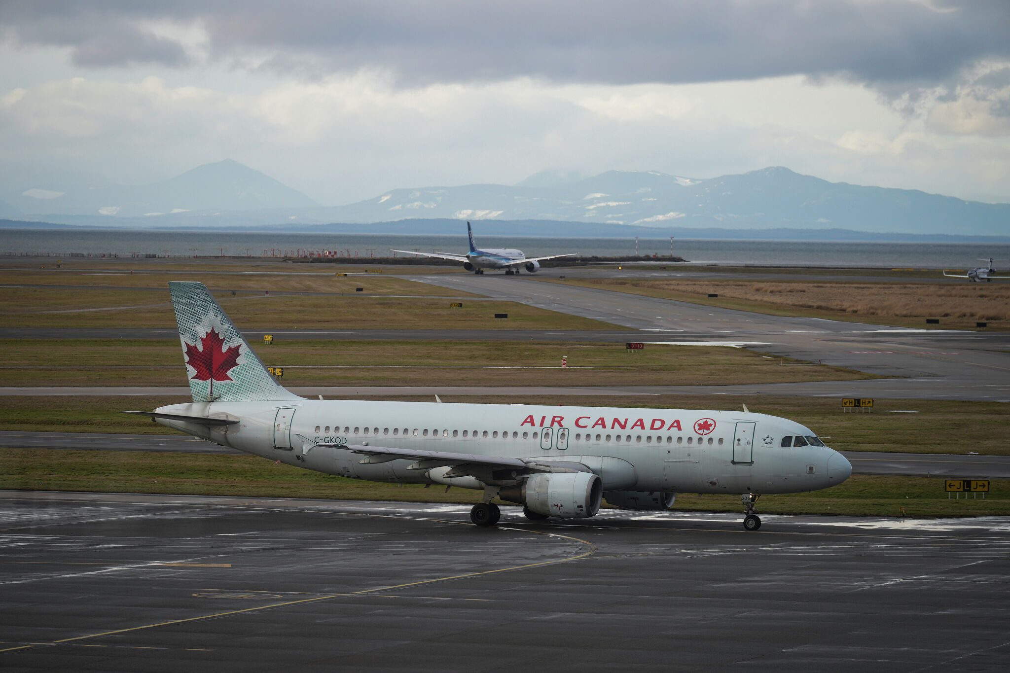Air Canada flight attendant strike may impact CT and NY travelers