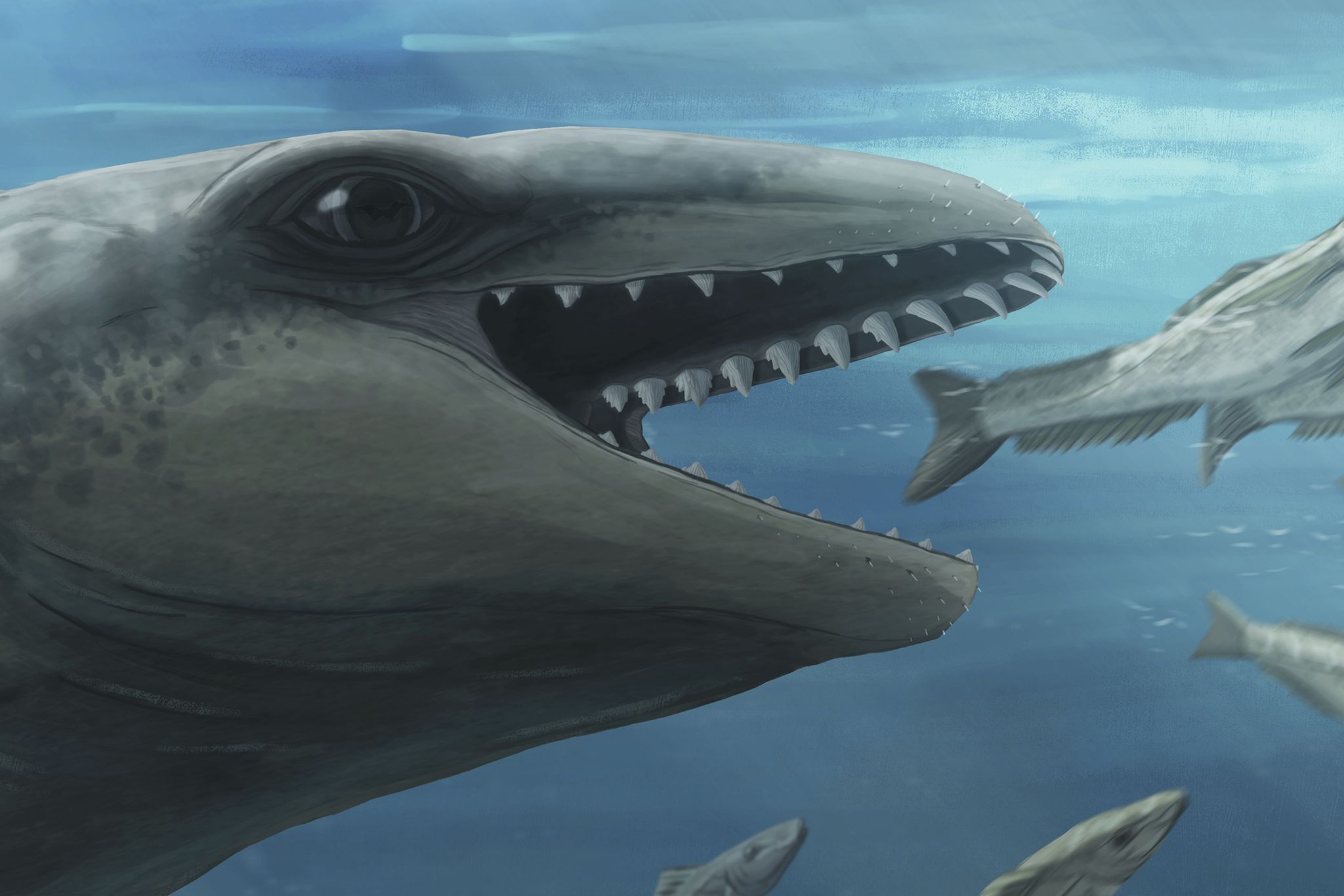 Scientists discover ancient whale with Pokémon face, predator bite