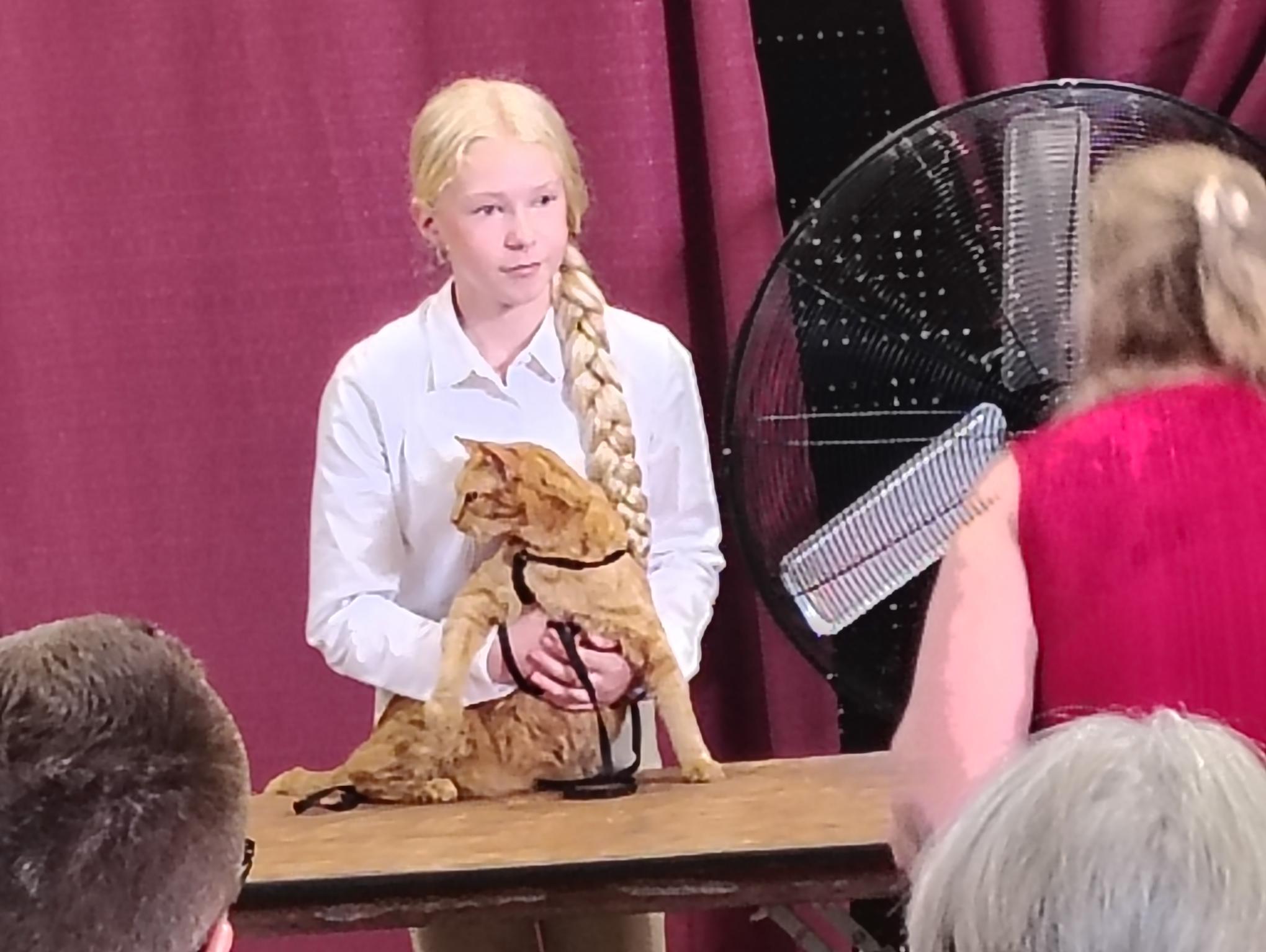 Cat Show contestants show off themed styles