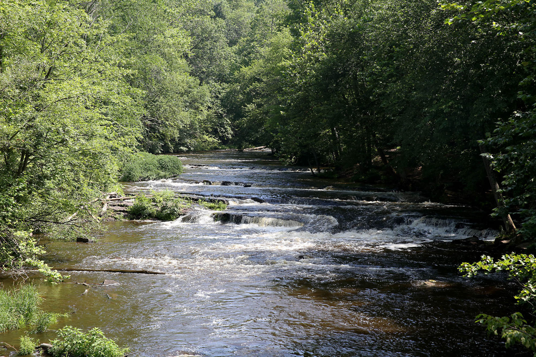 2 CT state parks closed after reaching capacity Saturday: Officials