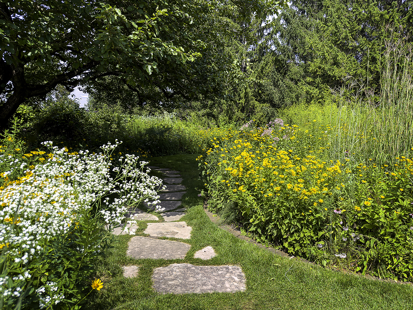 Naturalistic landscapes incorporate nature by design