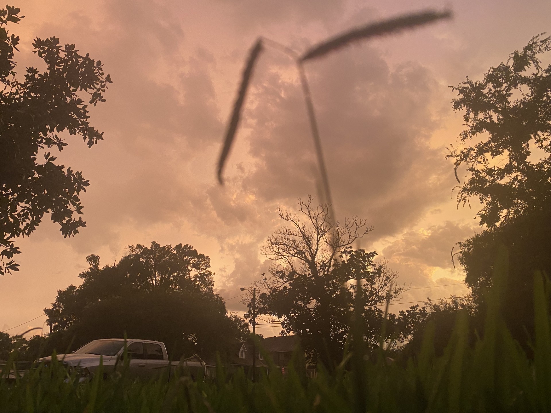 Spindletop Center's Darby Reed-Pilant talks about resilience