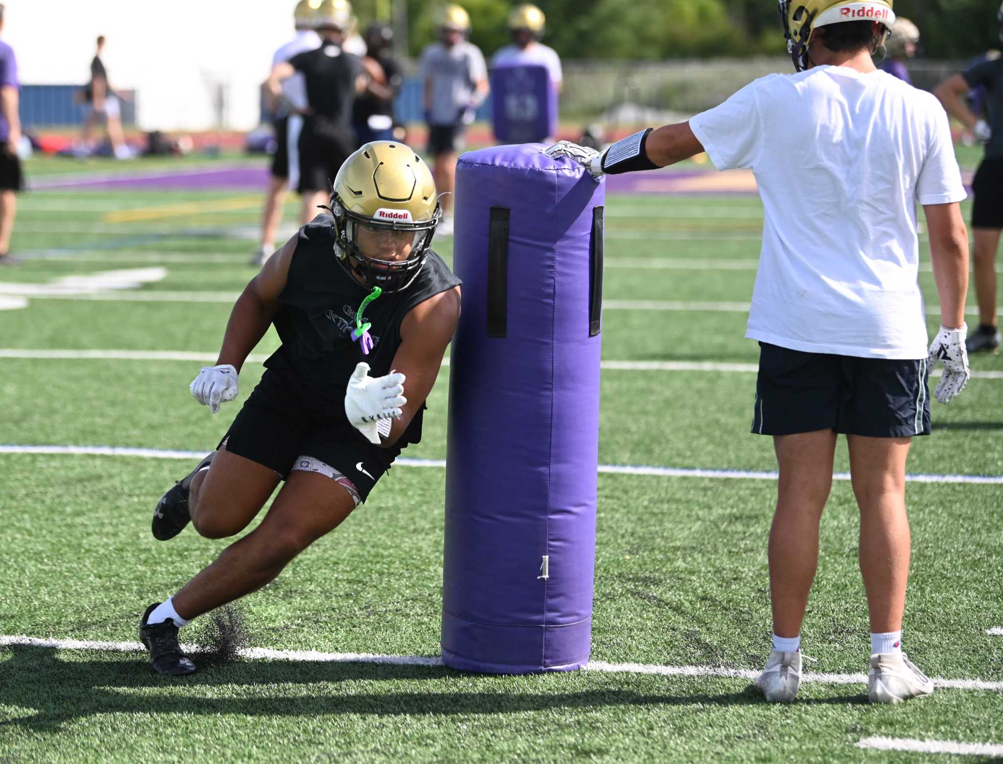 Bestselling "Alienist" author, Cherry Plain resident Caleb Carr dies