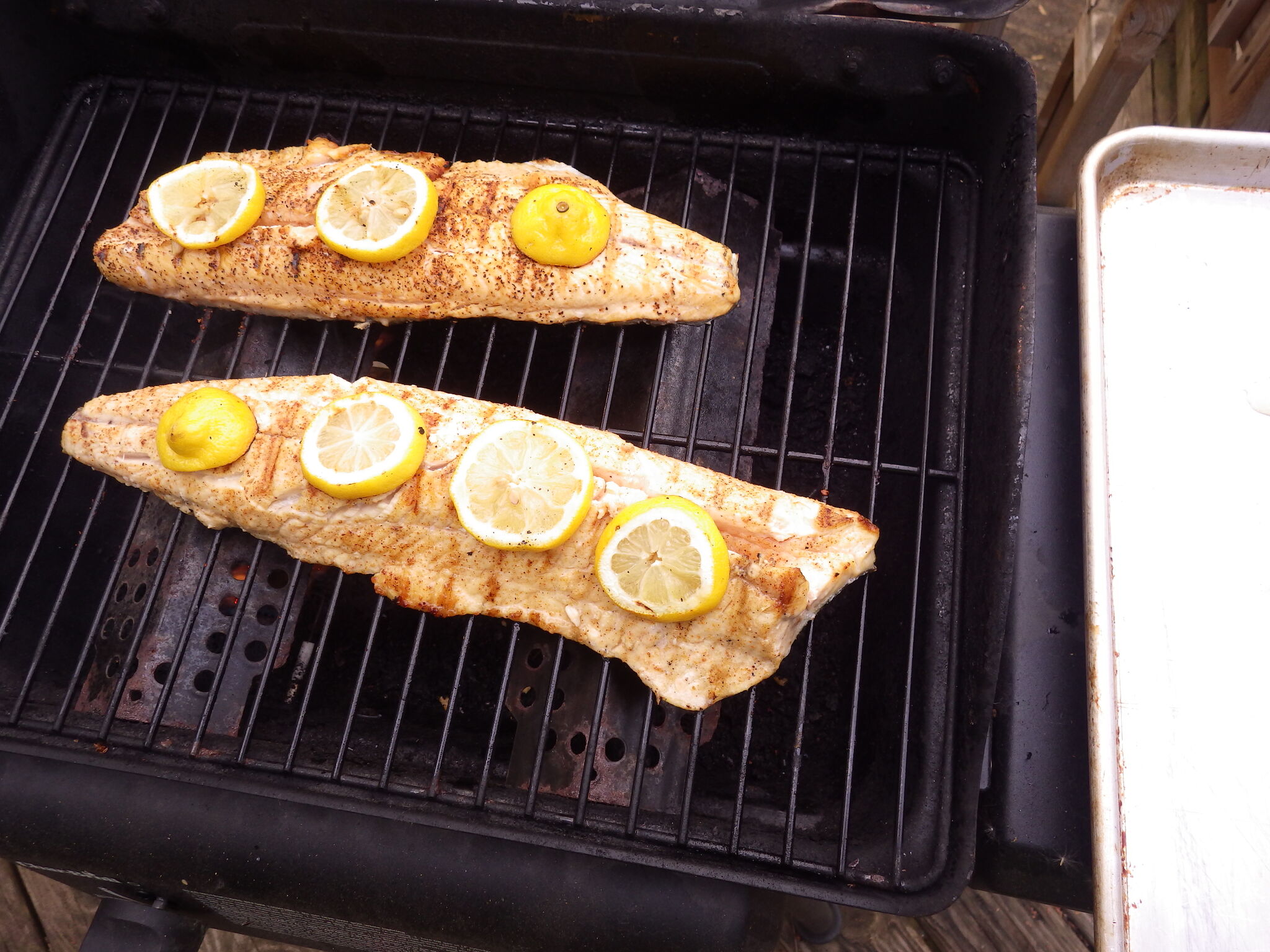 River Dragons bust out big innings, exterminate Rats in Pennsylvania