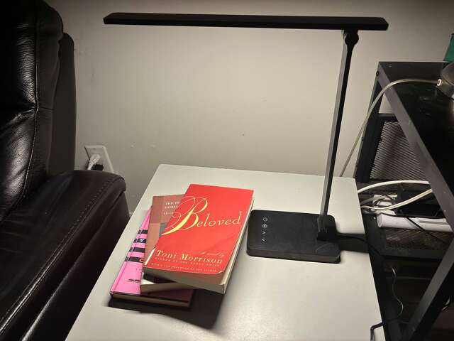 The best reading lights of 2026 for bedside page turners