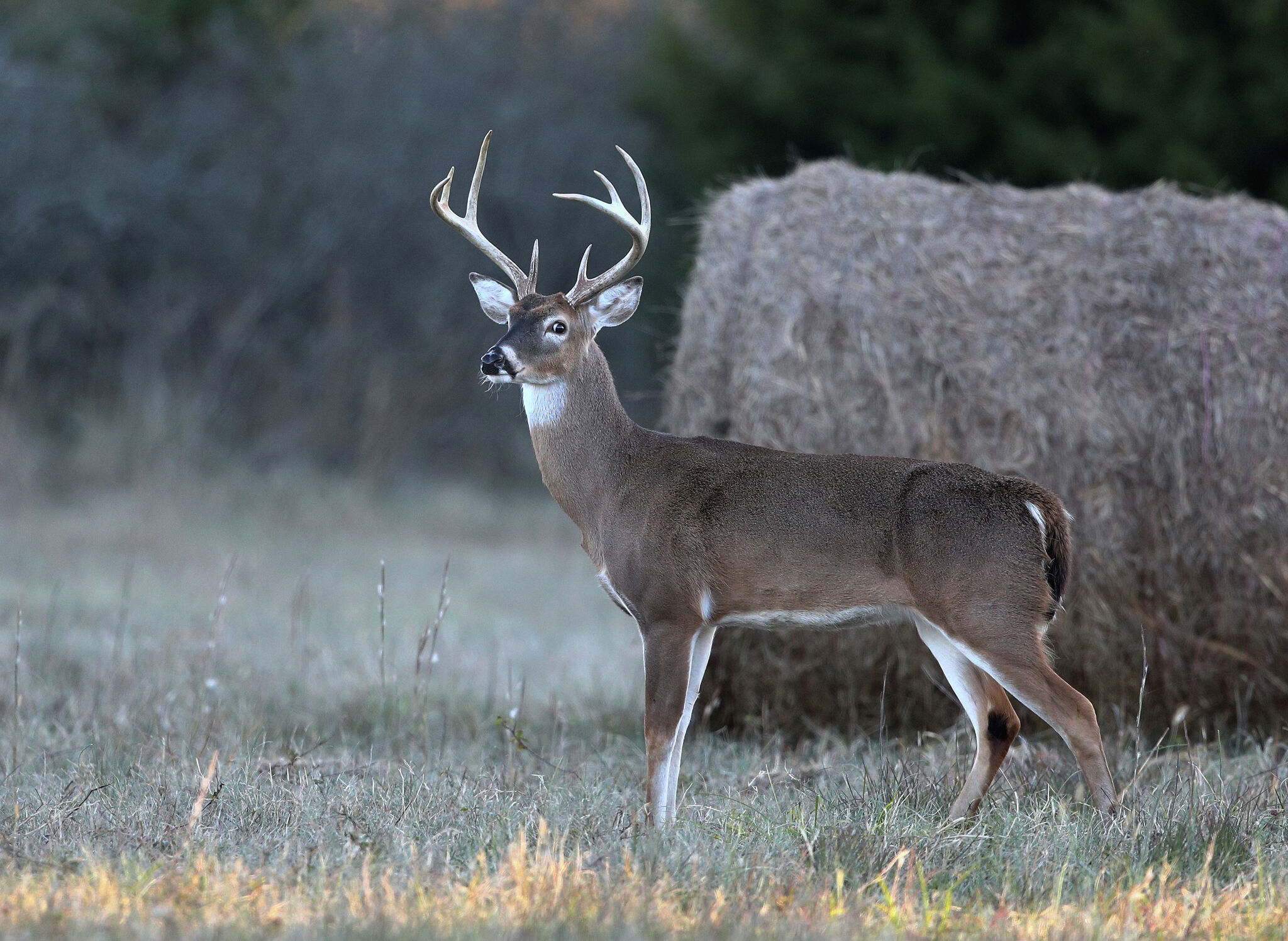 Key dates Michigan hunters should know for 2025