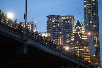 Austin's Congress bridge welcomes 1.5 million bats to roost