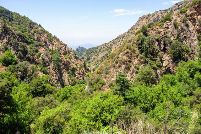 Missing woman's body found in forest as husband flees California