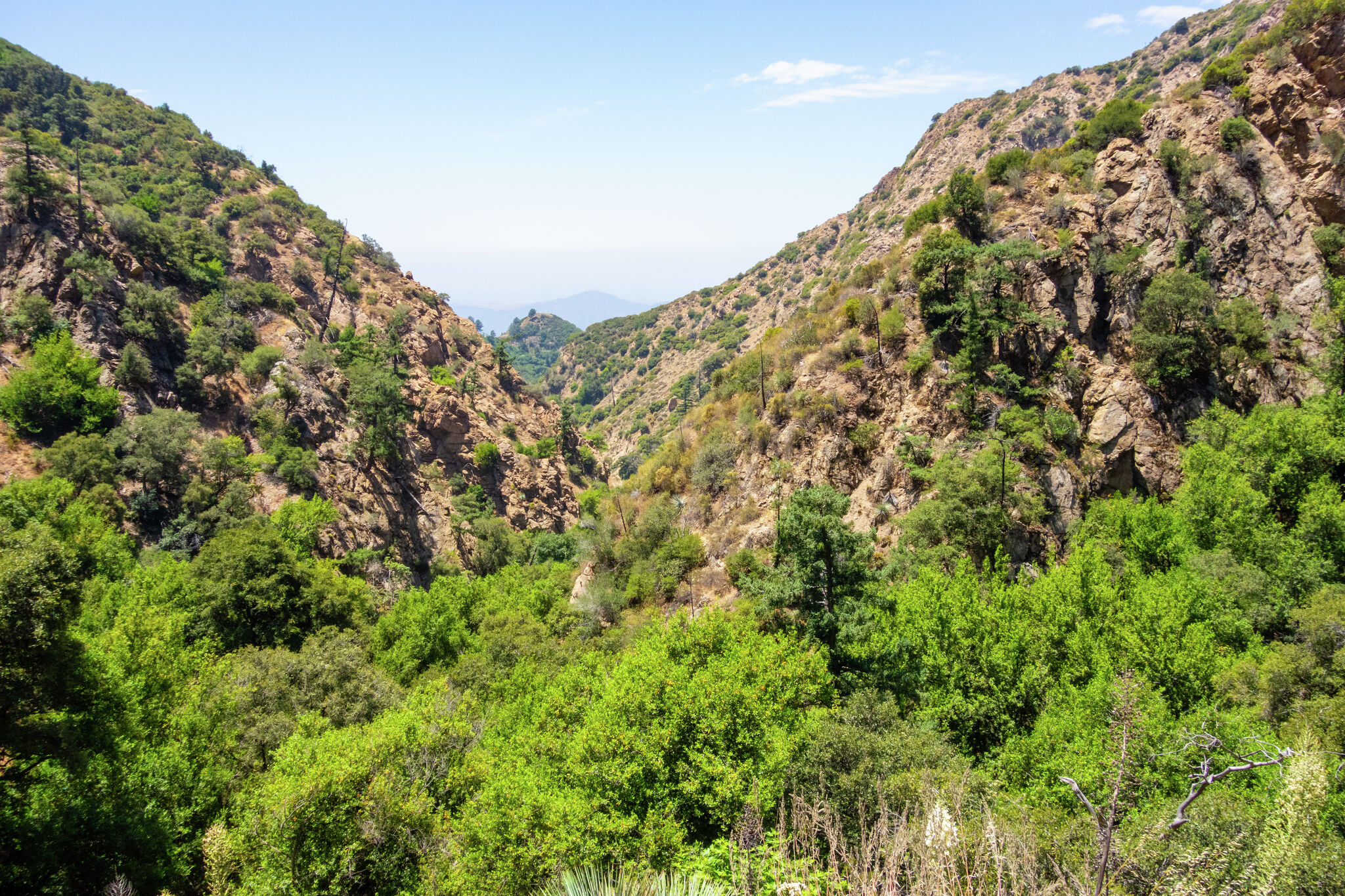 Missing woman's body found in forest as husband flees California