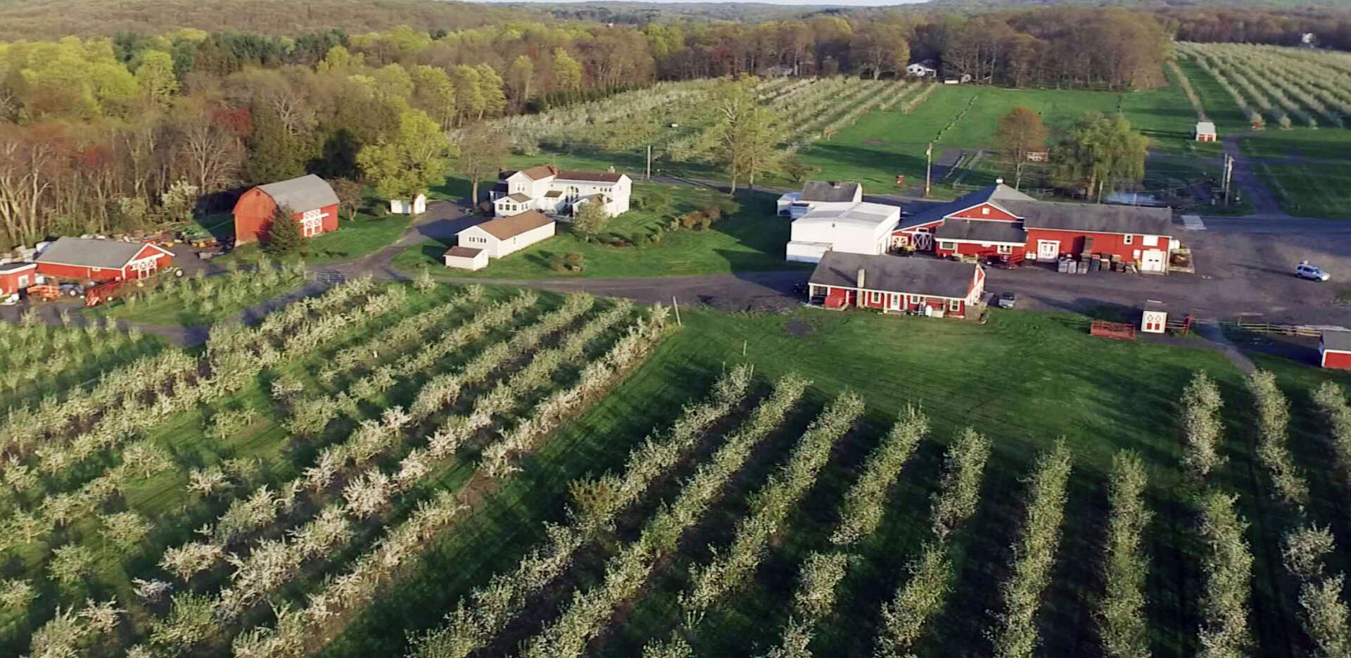 Bethel’s Blue Jay Orchards back on the sales market for $3.8M