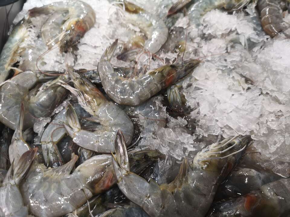 Radioactive shrimp recall parodied at San Antonio seafood market