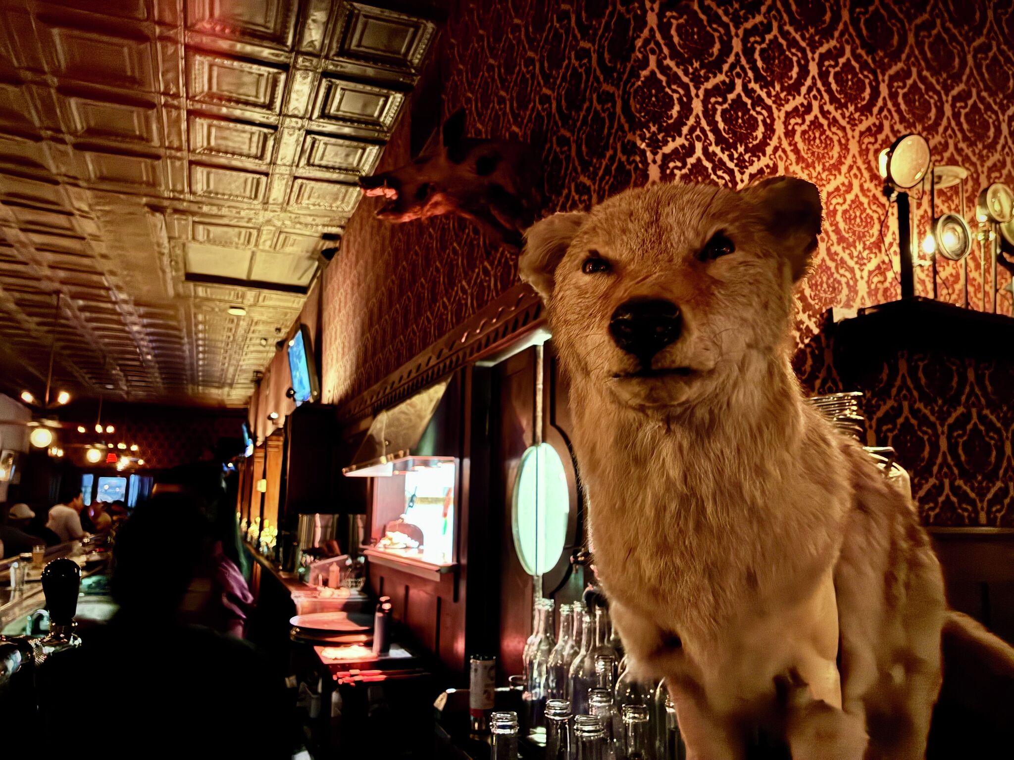 92 years of Esquire Tavern, one of San Antonio's oldest bars