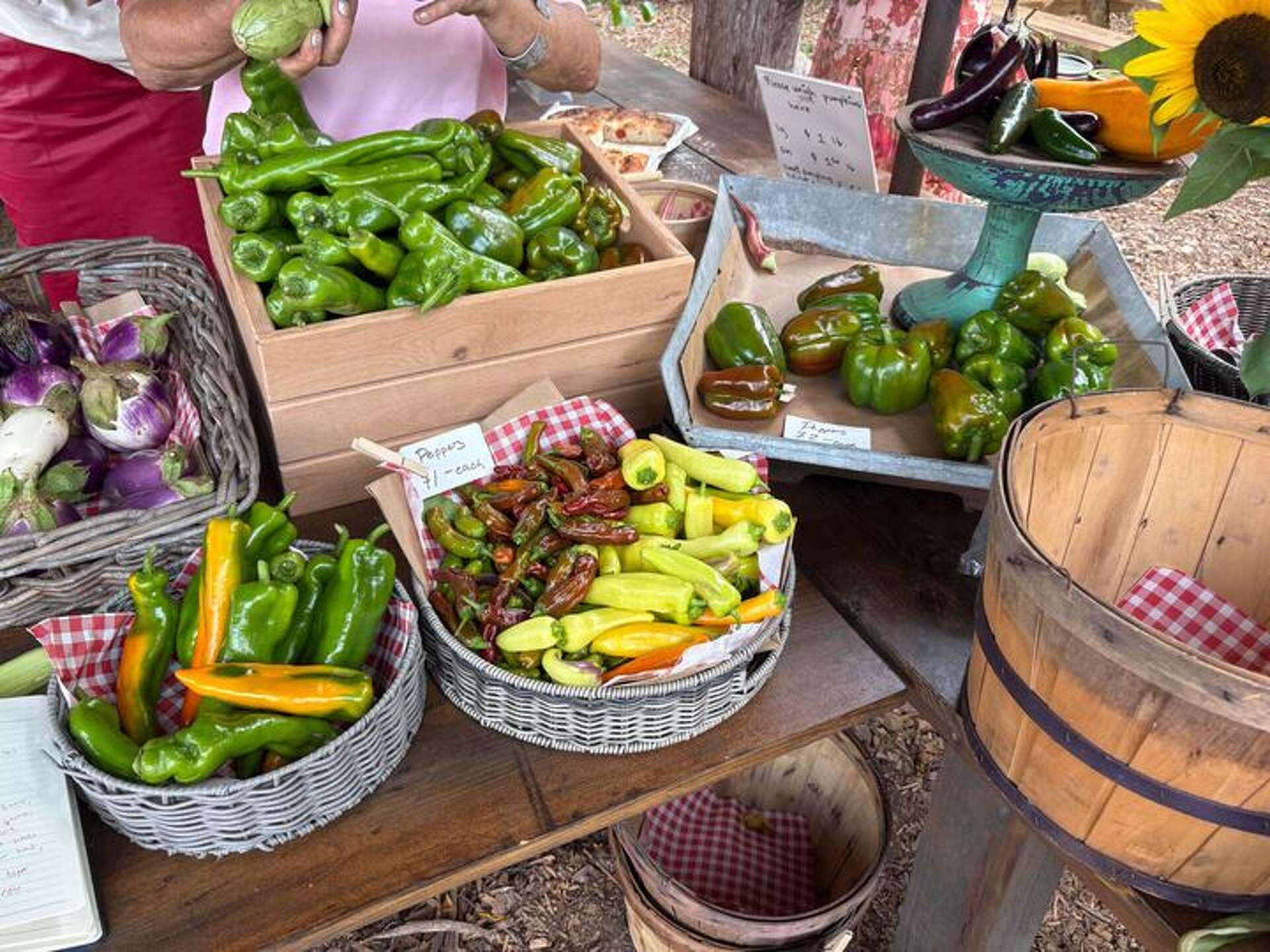Paige Lorenze's Dairy Boy helps get CT farm stand back in business
