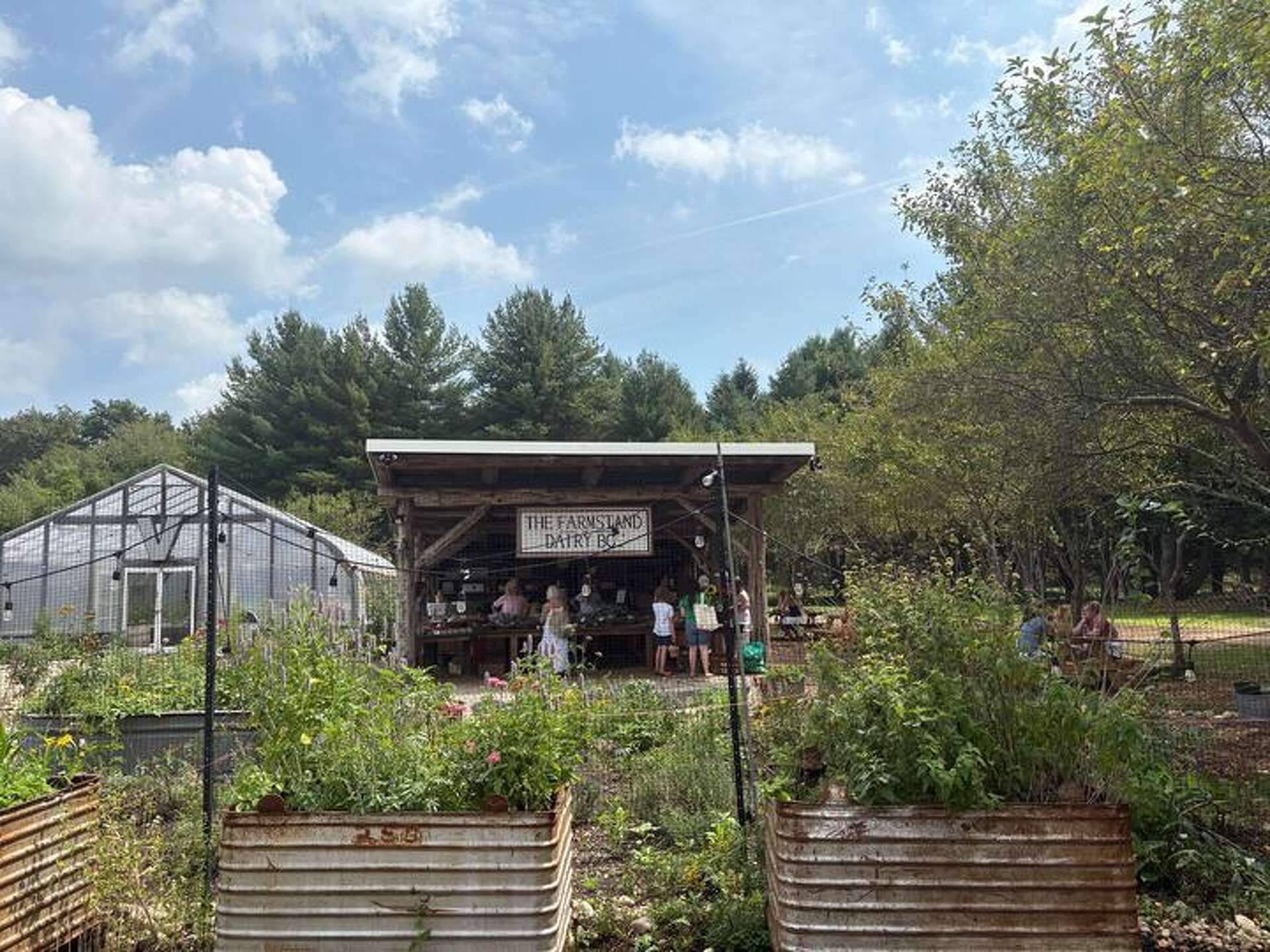 Paige Lorenze's Dairy Boy helps get CT farm stand back in business