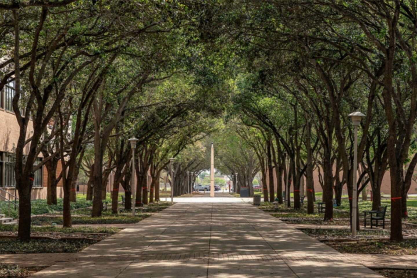 UT System's newest university celebrates major milestone