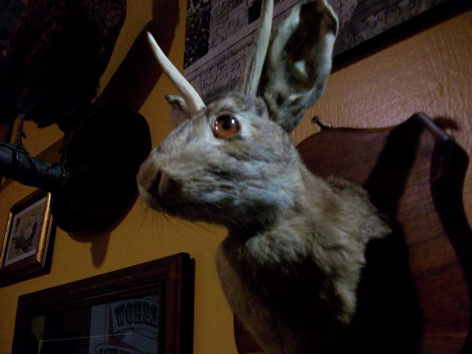 12 strange ways to experience the 'Keep Austin Weird' lifestyle