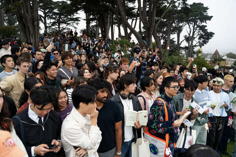 Hundreds enter San Francisco's 'performative male' contest