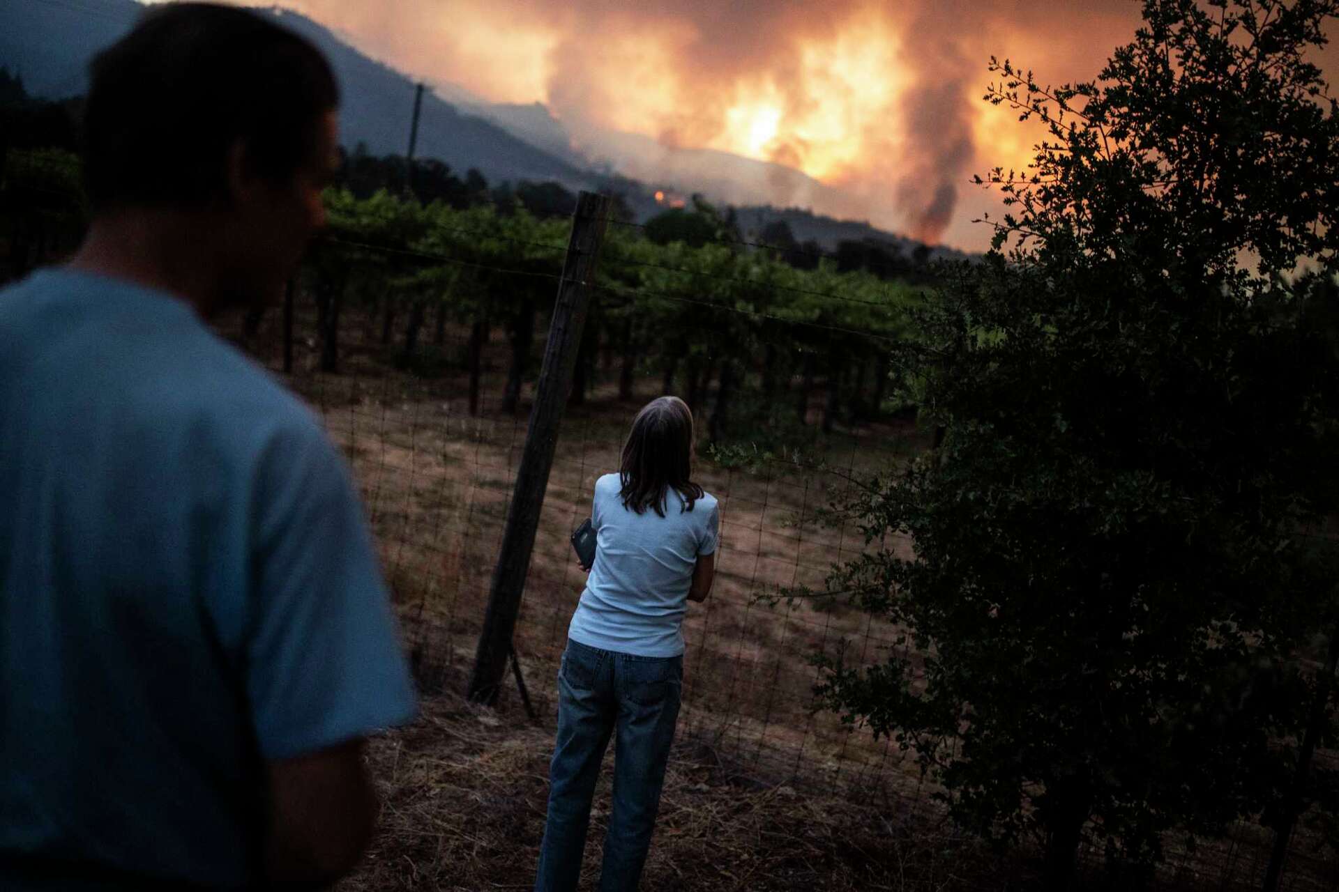 What Napa Valley’s Pickett Fire could mean for wine grapes
