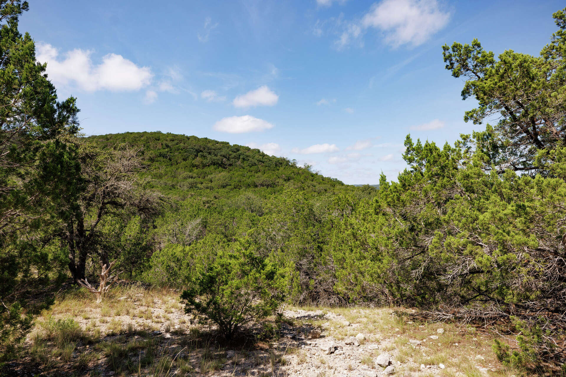 Texas buys land for new state park next to Garner State Park