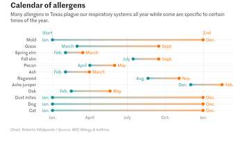 Austin allergy calendar: Cedar fever, ragweed and mold seasons