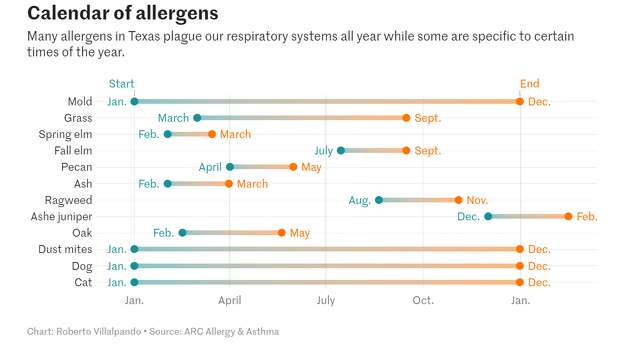 Austin allergy calendar: Cedar fever, ragweed and mold seasons