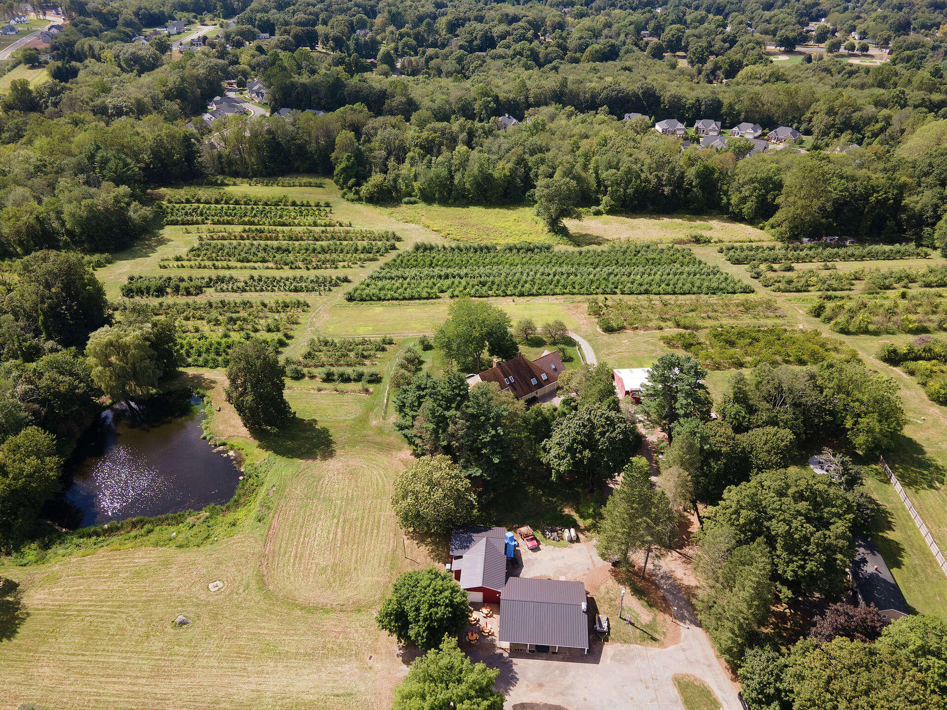 Cheshire's Hickory Hill Orchard reopening under new owners