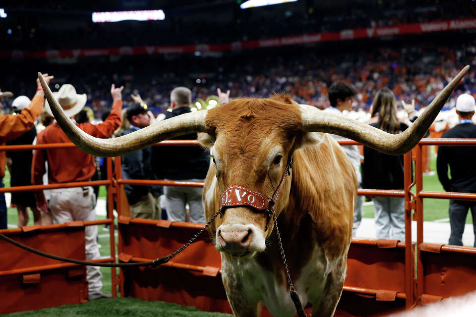 Texas Longhorns' Bevo name doesn't trace back to Texas A&M
