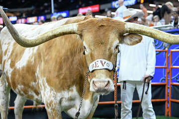 Texas Longhorns' Bevo name doesn't trace back to Texas A&M