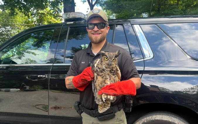 Suffield police officer rescued downed owl, hawk, officials say