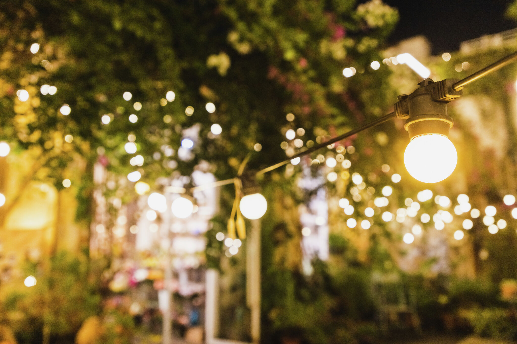 Still sporting his accidental buzz cut, Carlos Alcaraz wins easily at ...