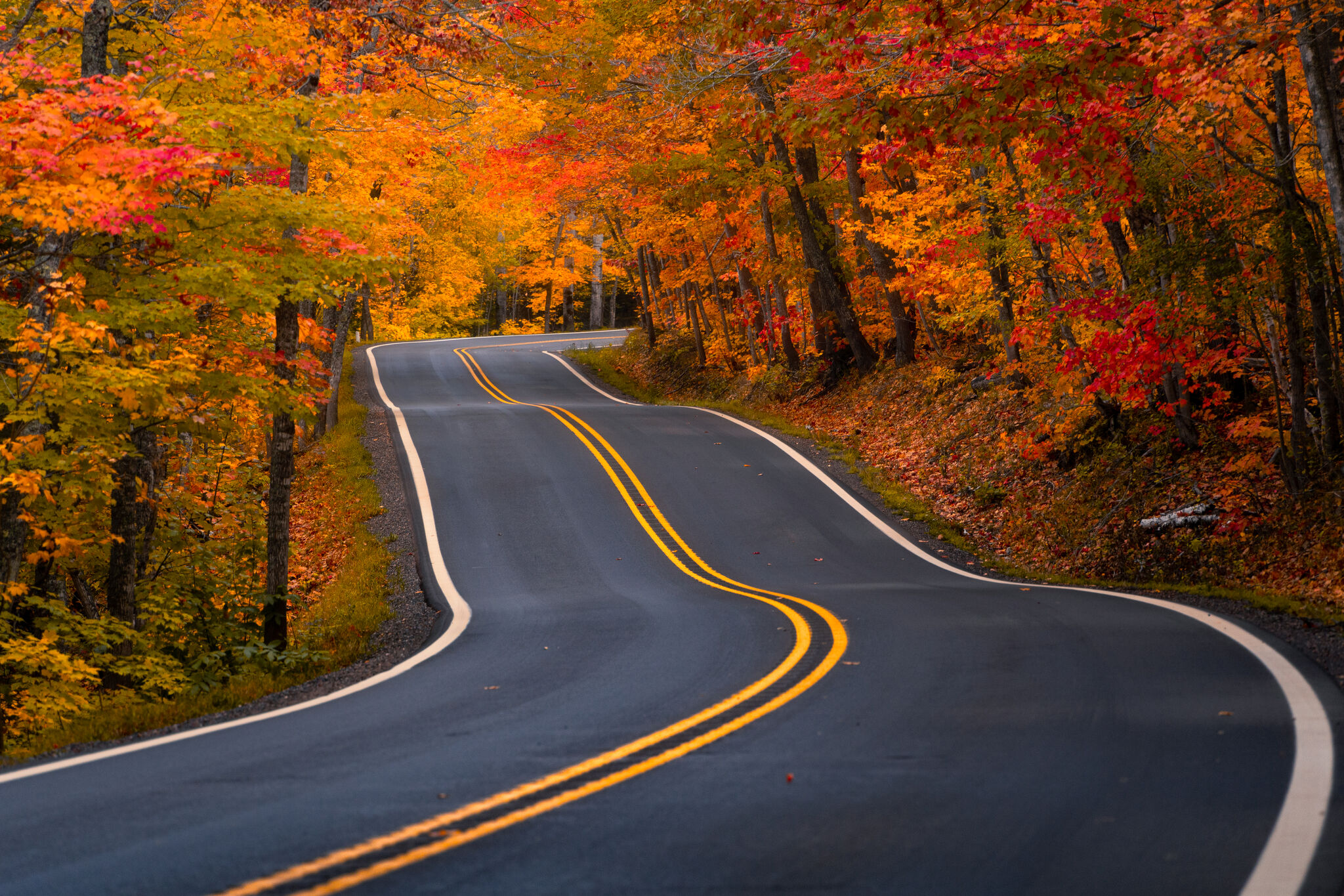 Michigan fall guide: Explore orchards, patches, haunts, color
