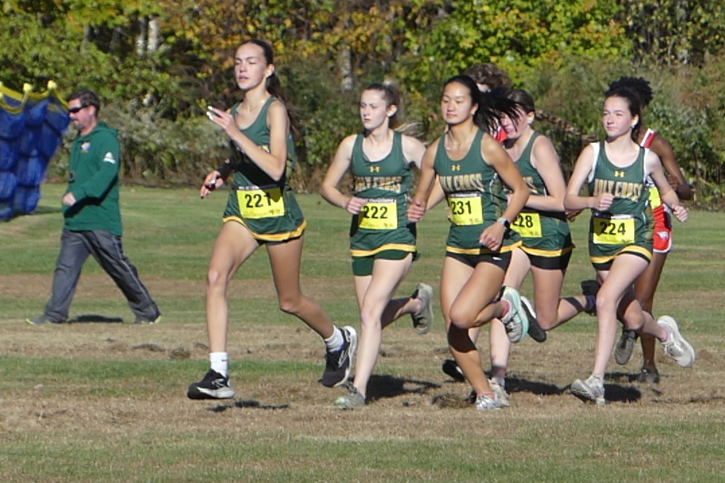 The 2025 Greater Waterbury cross country preview
