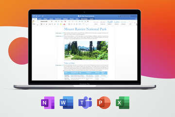Phil Collins' massive Alamo artifacts collection goes on display