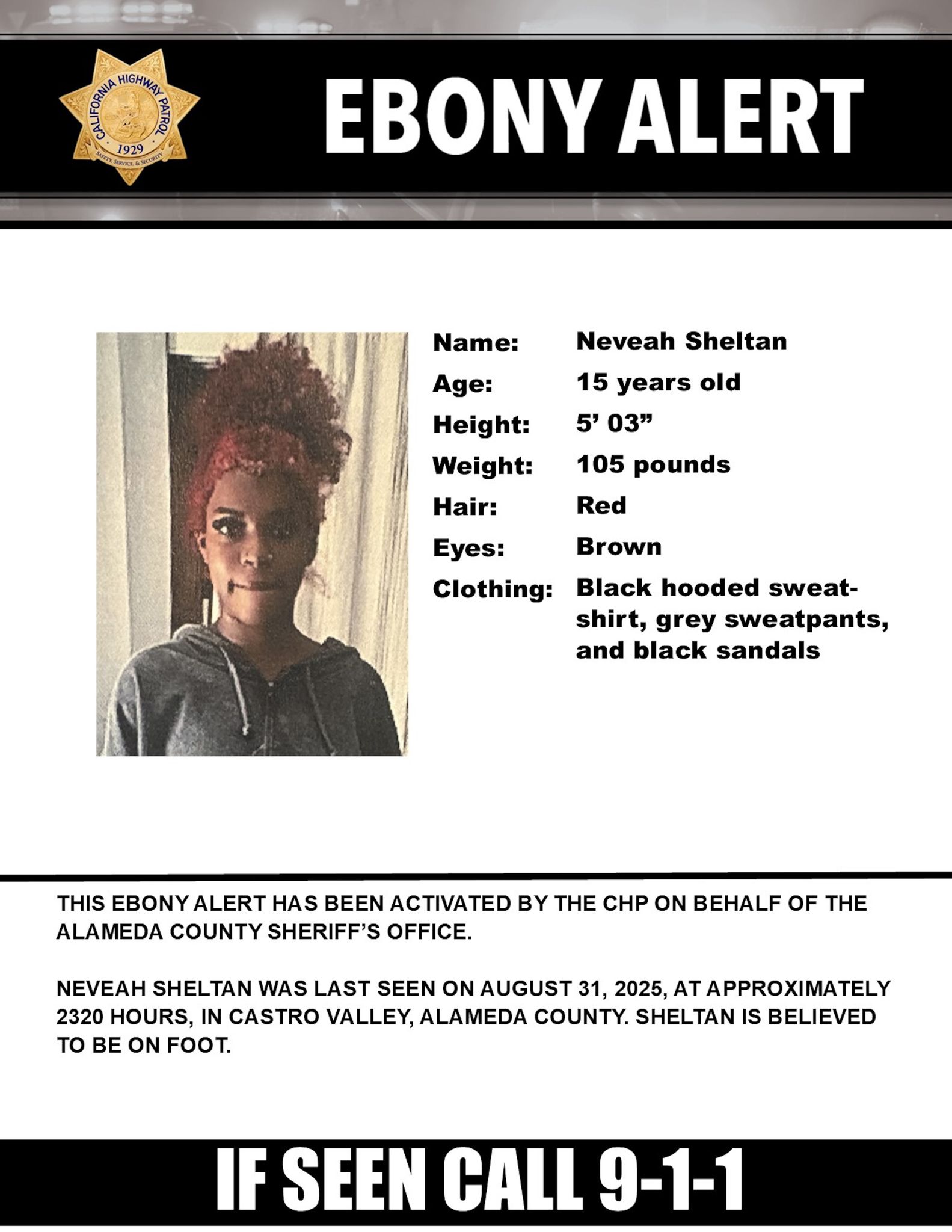 Castro Valley: Chp Issues Ebony Alert For Missing Teenage Girl