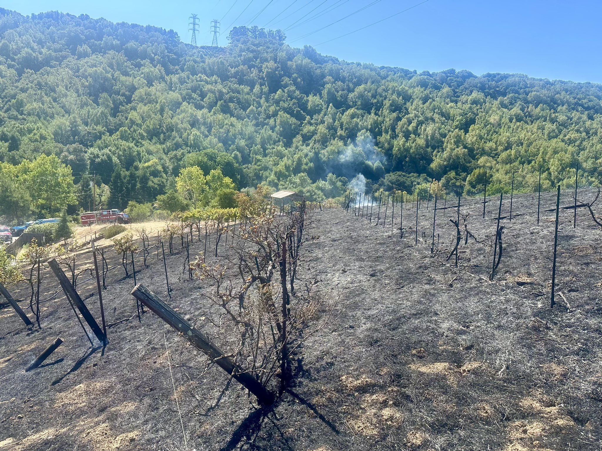 Alameda Co.: Update: Palo Fire 60 Percent Contained