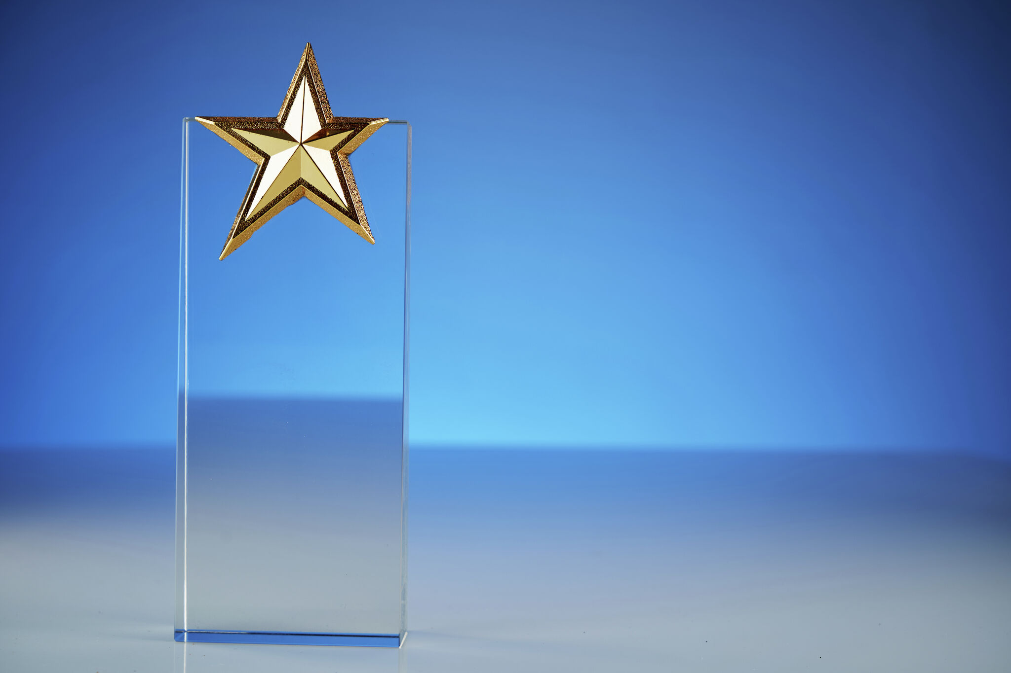 Texas DPS trooper wins 2025 NAIC Grand Champion award