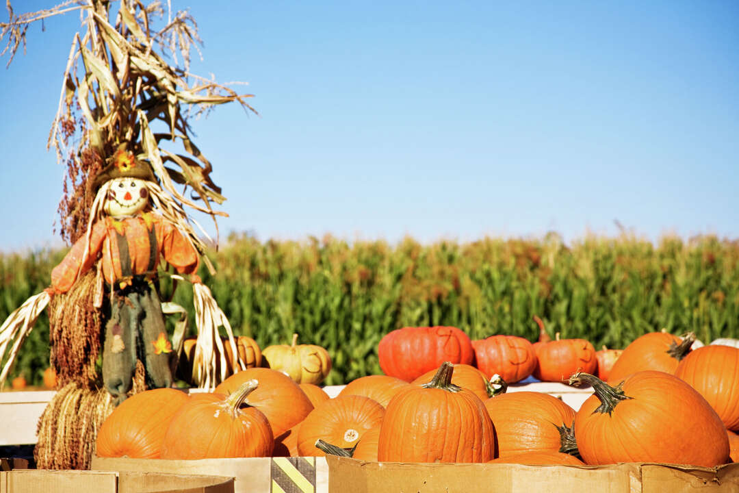 Fall festivals in the Hudson Valley