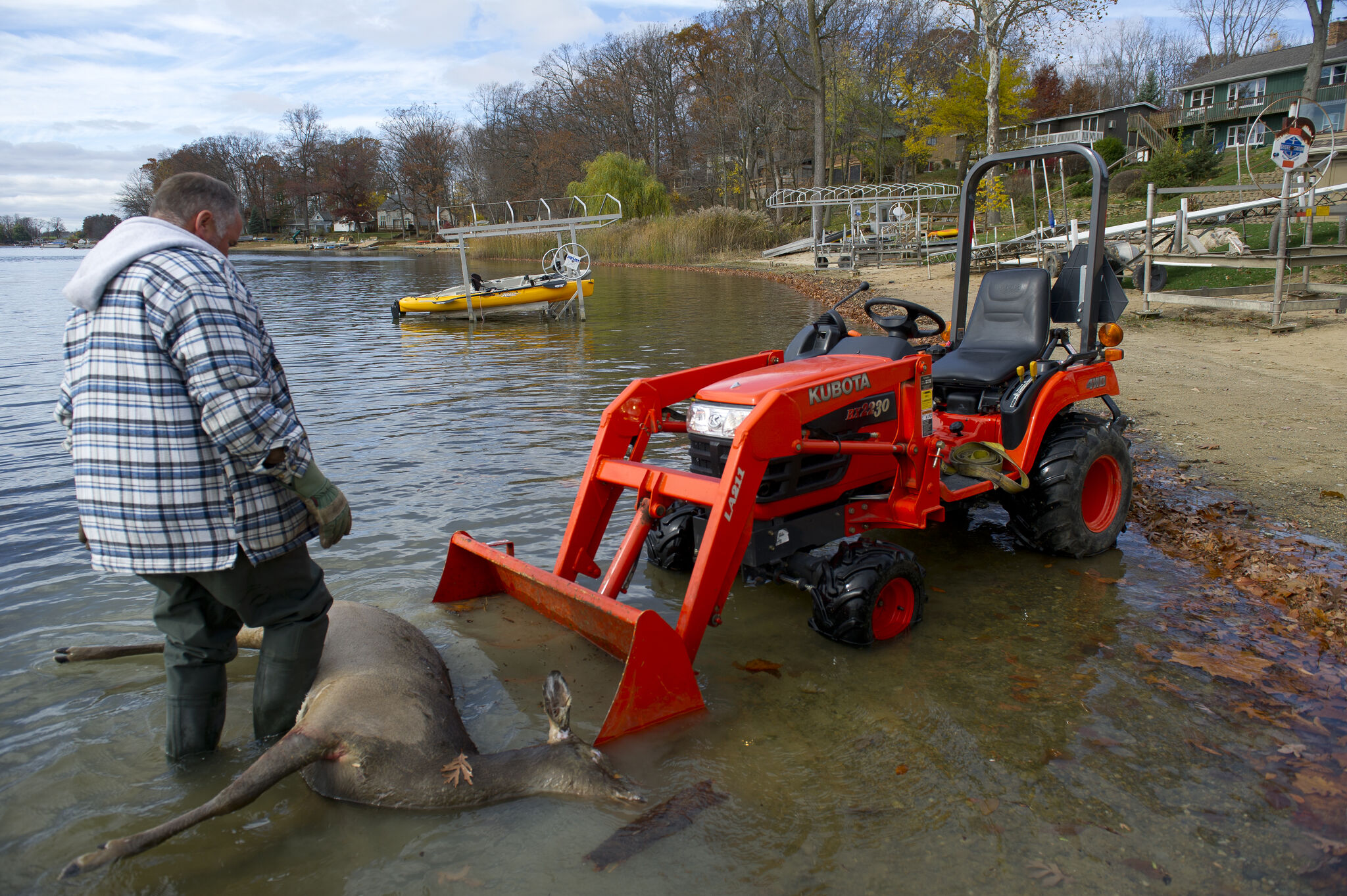 Michigan EHD deer cases confirmed in 2025: What hunters need to know