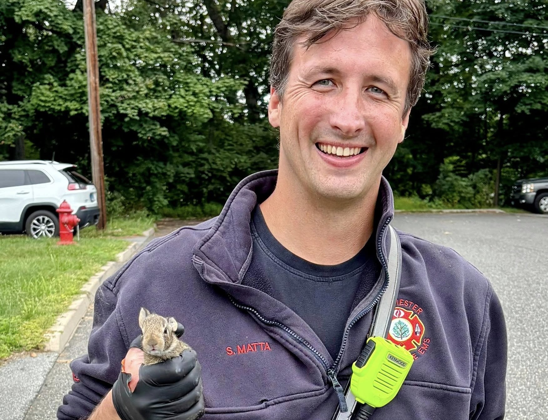 Nine times Connecticut firefighters rescued animals in need