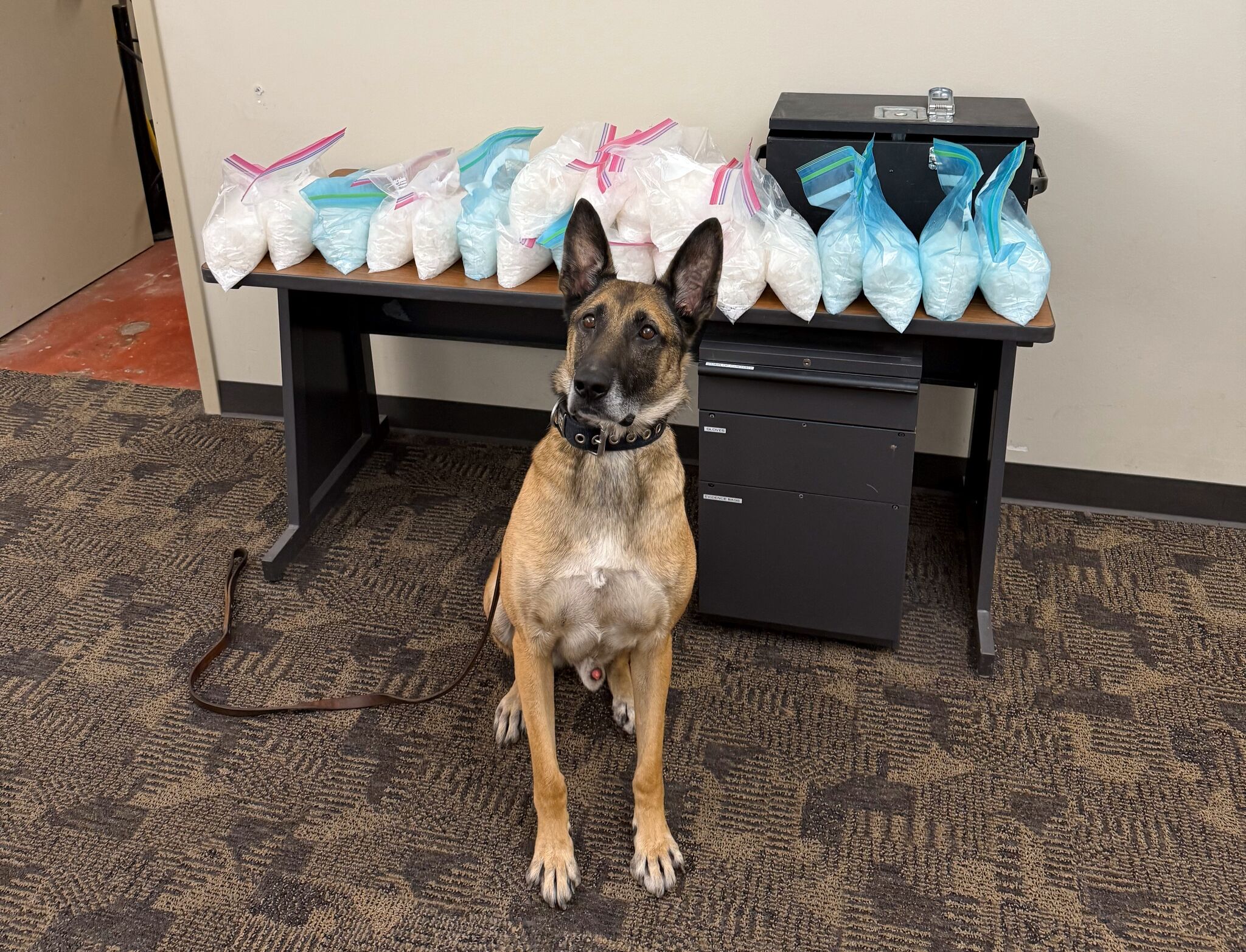 DPS dog Zara helps seize 47 pounds of meth in South Austin