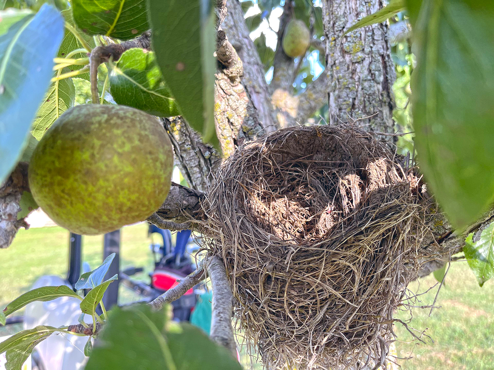 Reader photo: Empty nest