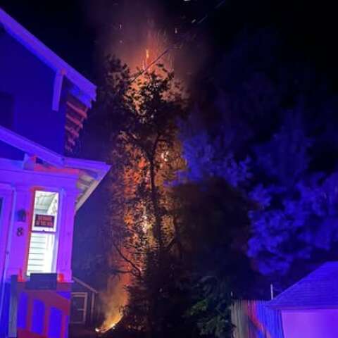 Vernon firefighters battle 'unique' blaze in a 50-foot tree: Officials