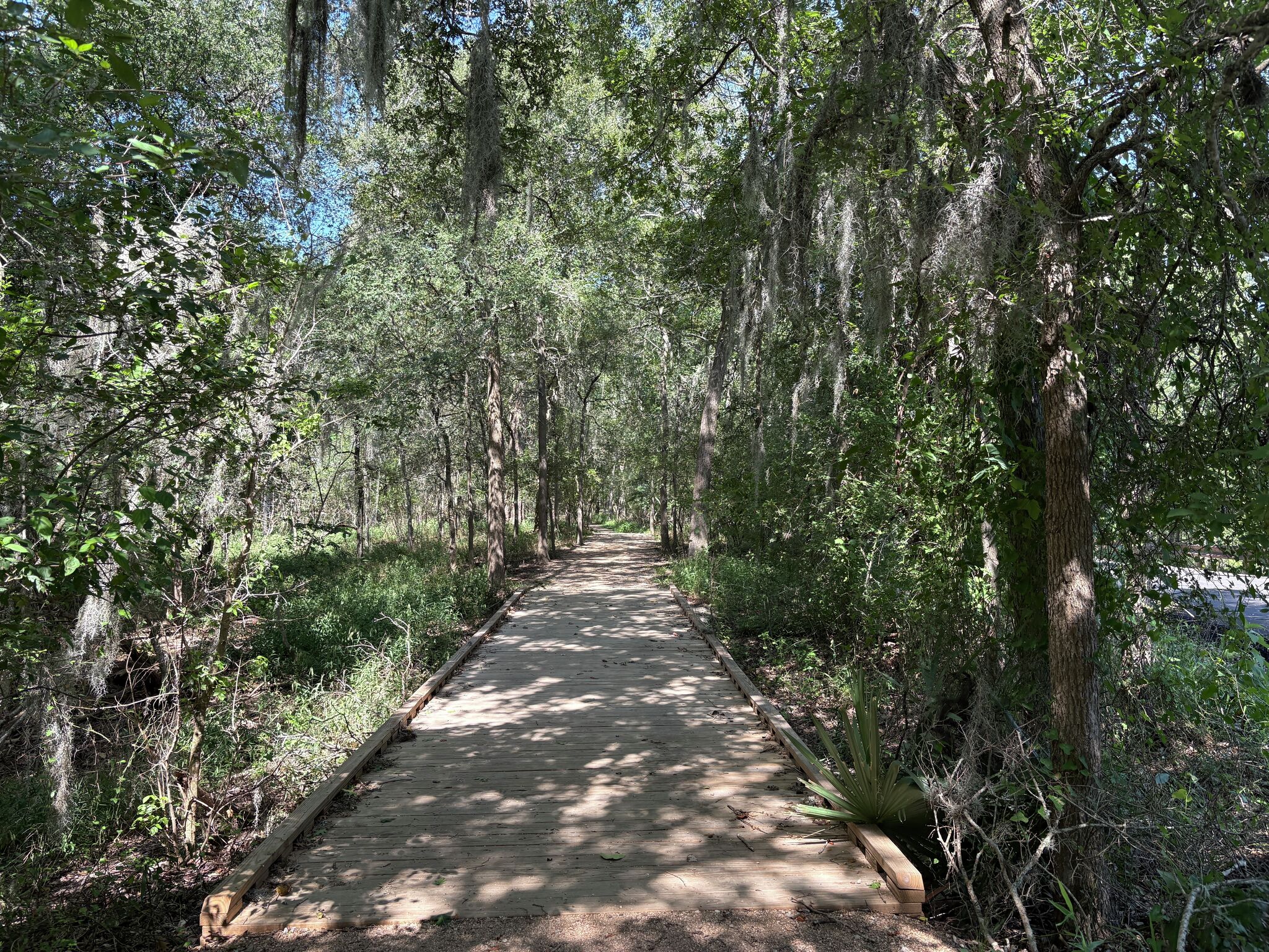 Discover the tropical rainforest just outside San Antonio