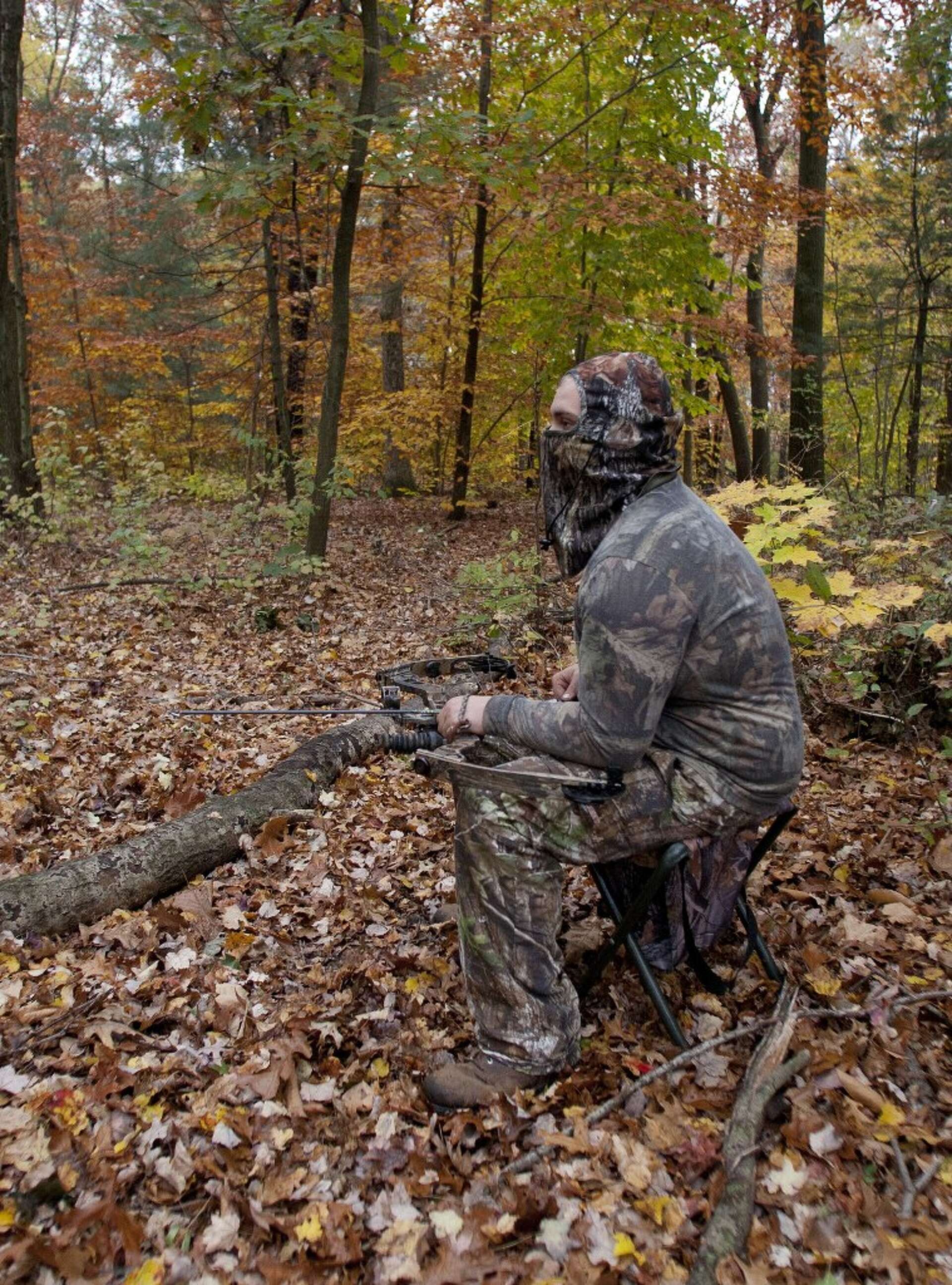 Fewer deer killed by Connecticut hunters and drivers in 2024: Report