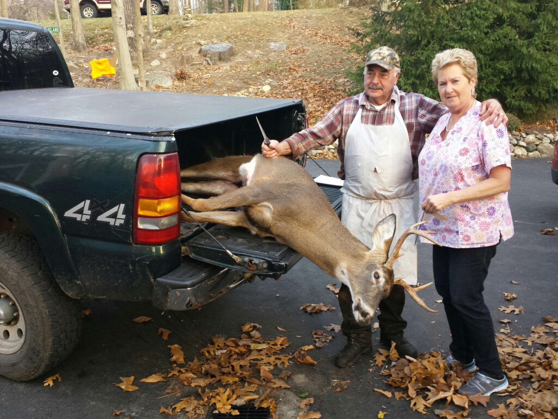 Fewer deer killed by Connecticut hunters and drivers in 2024: Report