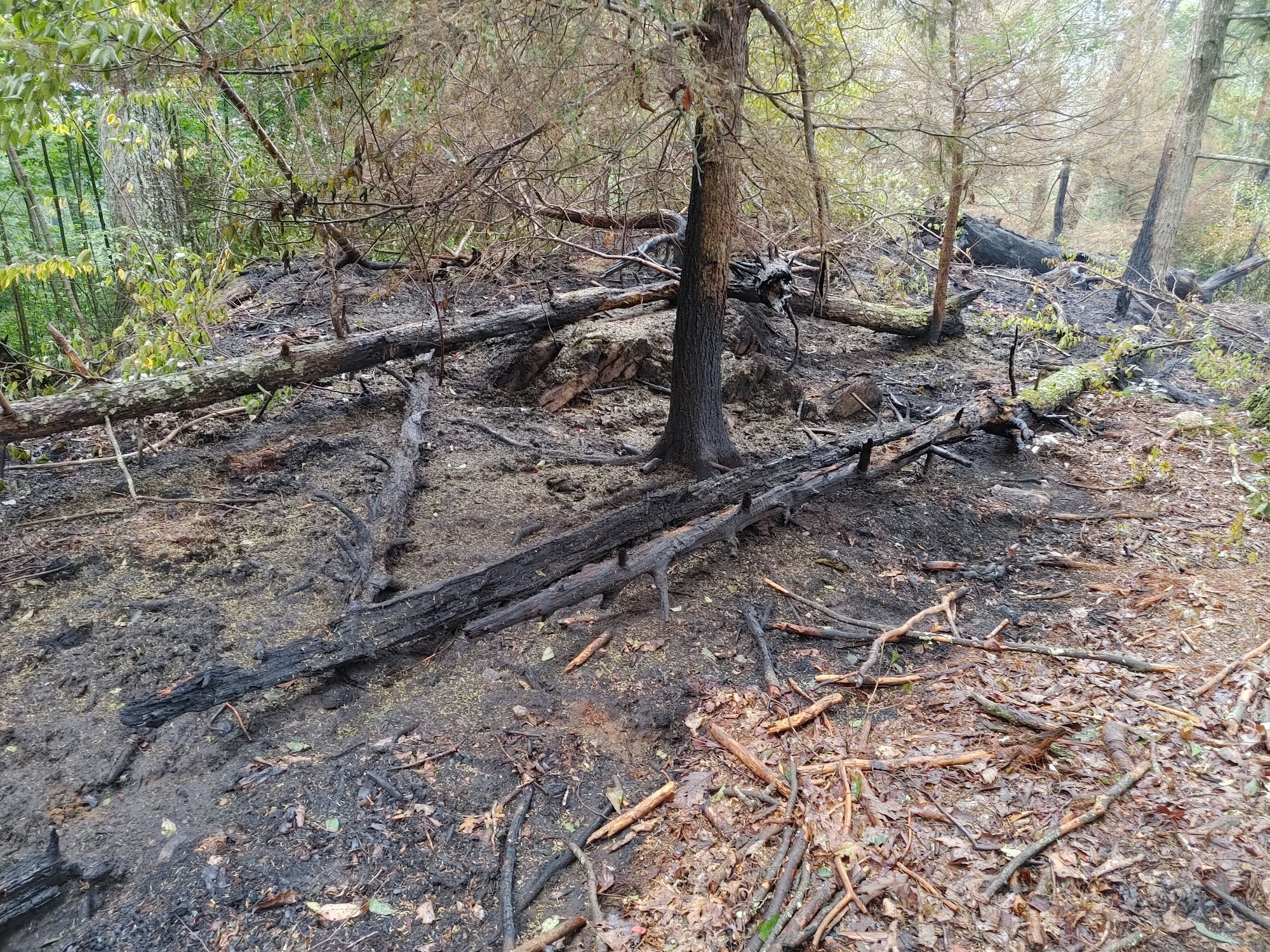 Rain helps quell brush fire at Washington's Steep Rock Preserve