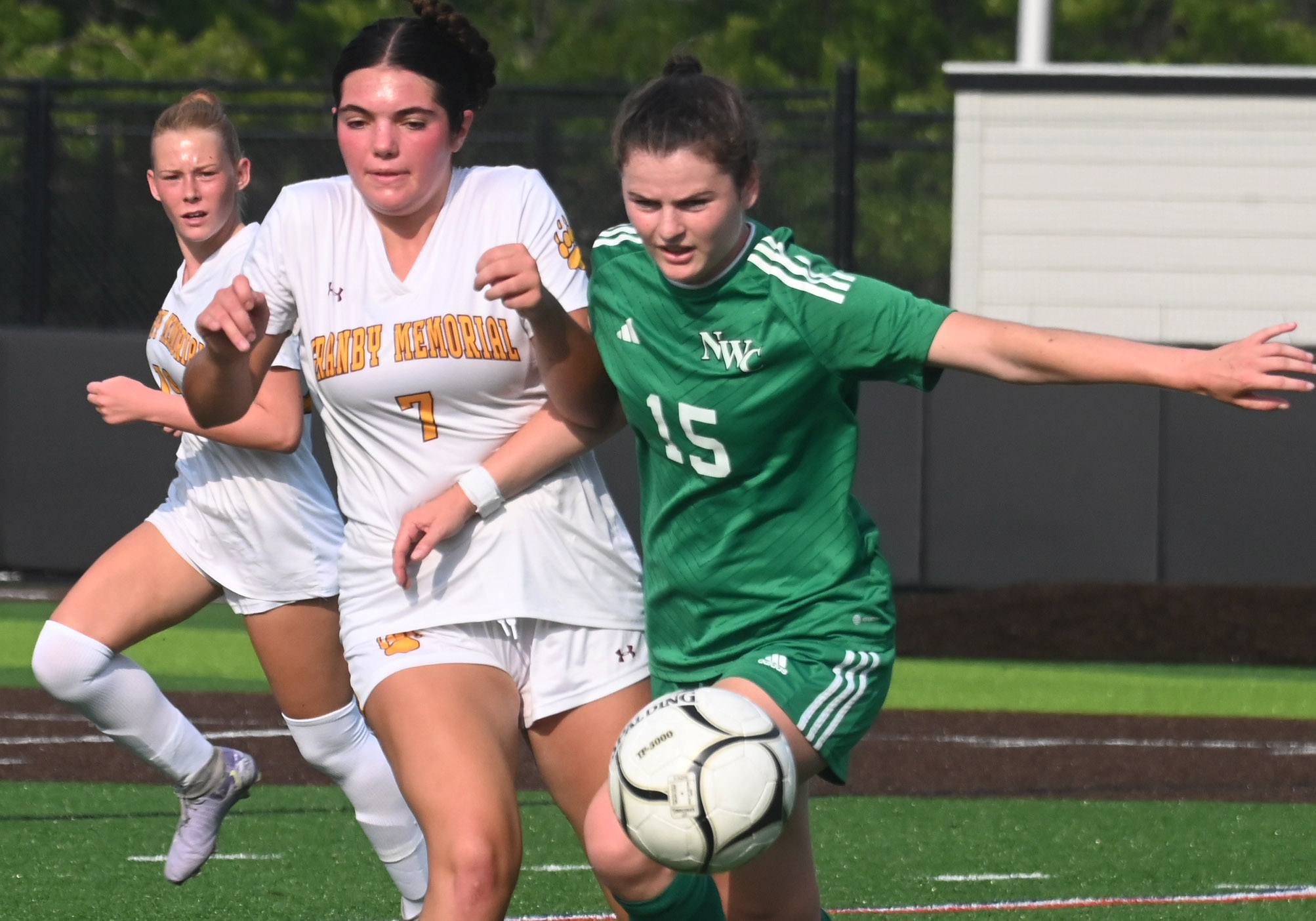 Swim with a day pass at one of these Connecticut hotels, resorts