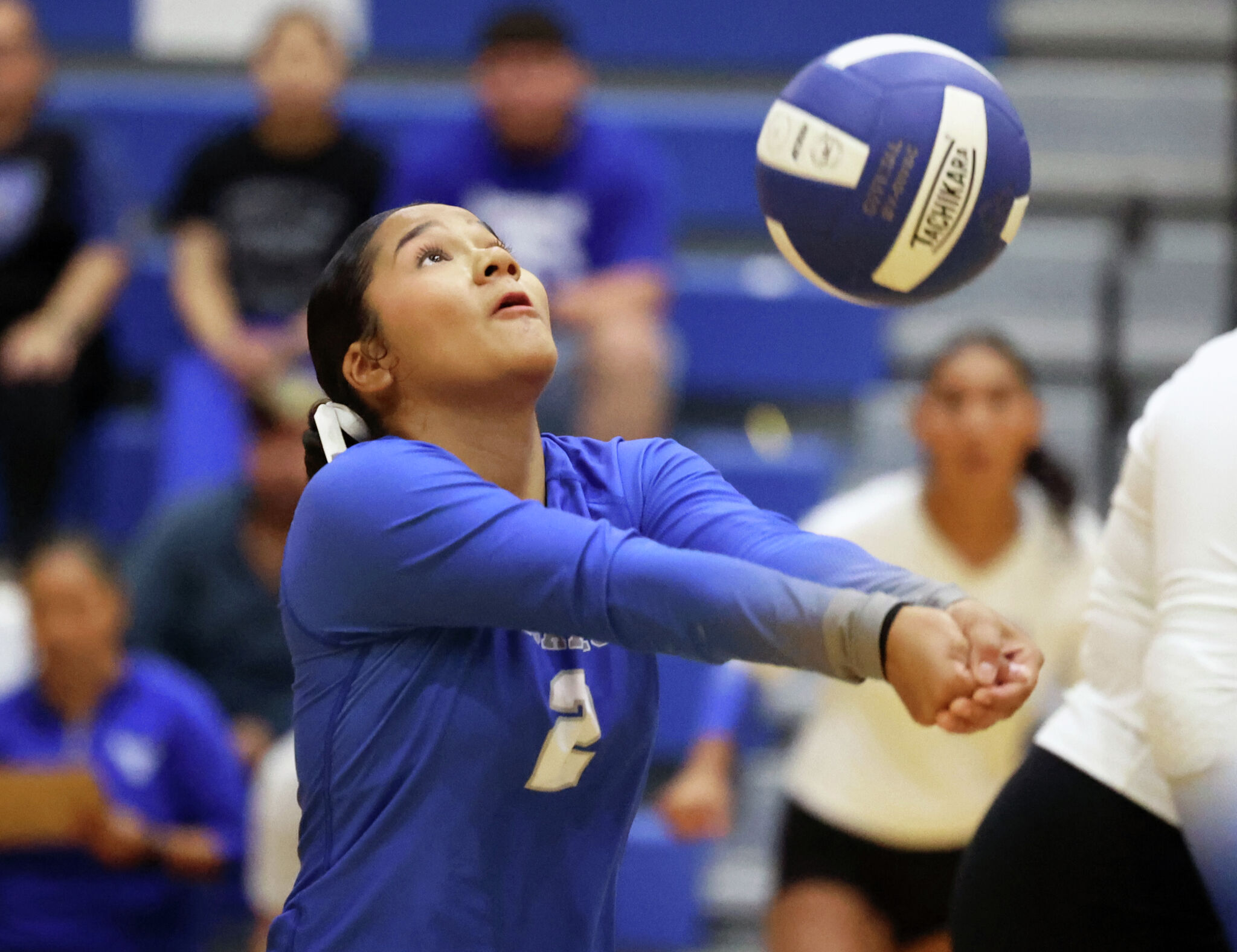 Laredo Morning Times volleyball standouts