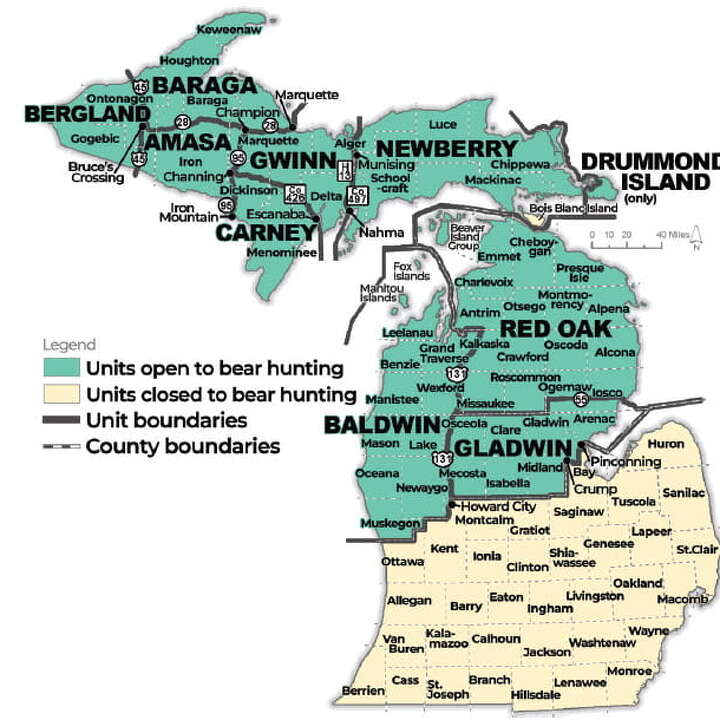 Bear hunting season begins this week in Michigan, here's what to know