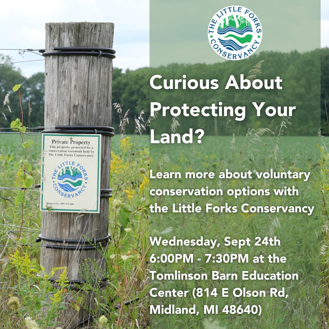 Wildfire smoke in MI: What residents need to know about burn permits